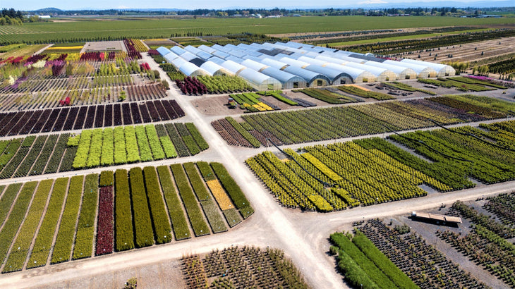 About Us – Loen's garden center